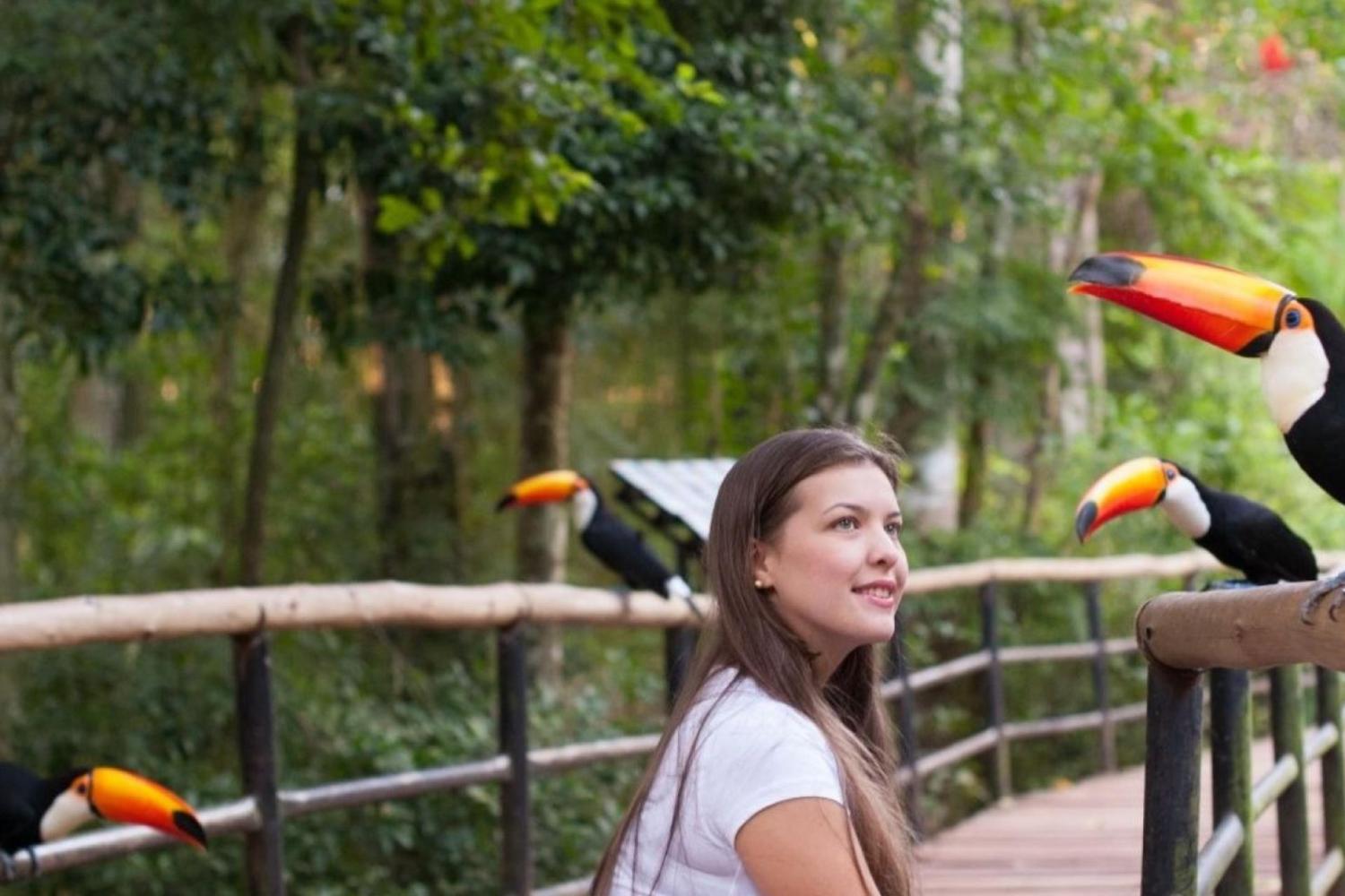 Foz de Iguaçu: Brazilian Falls and Bird Park | Gray Line