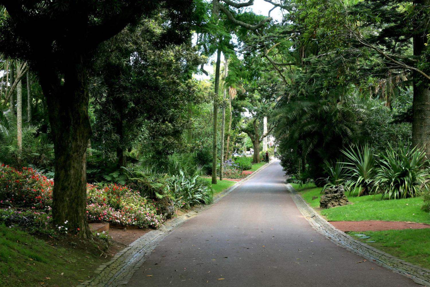 Carvão Cave & Gardens | Gray Line