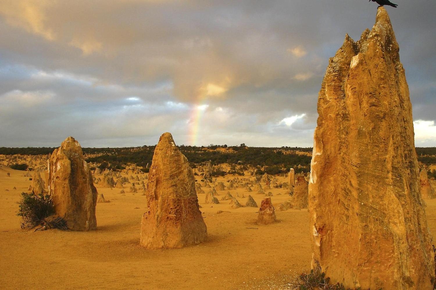 Pinnacles, Yanchep and Swan Valley | Gray Line