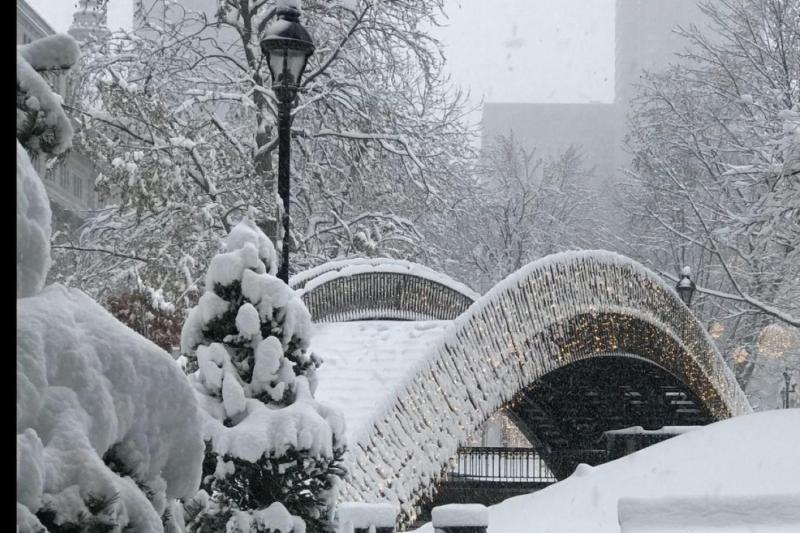 Montreal Winter Magic tour | Gray Line