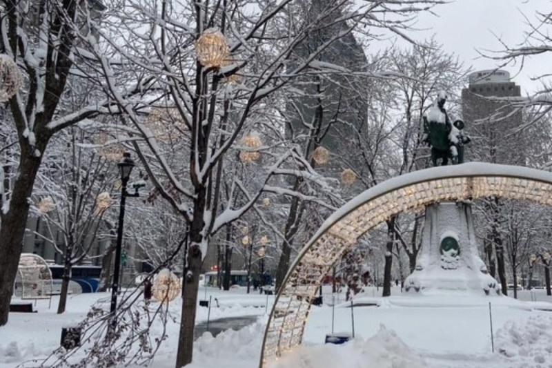 Montreal Winter Magic tour | Gray Line