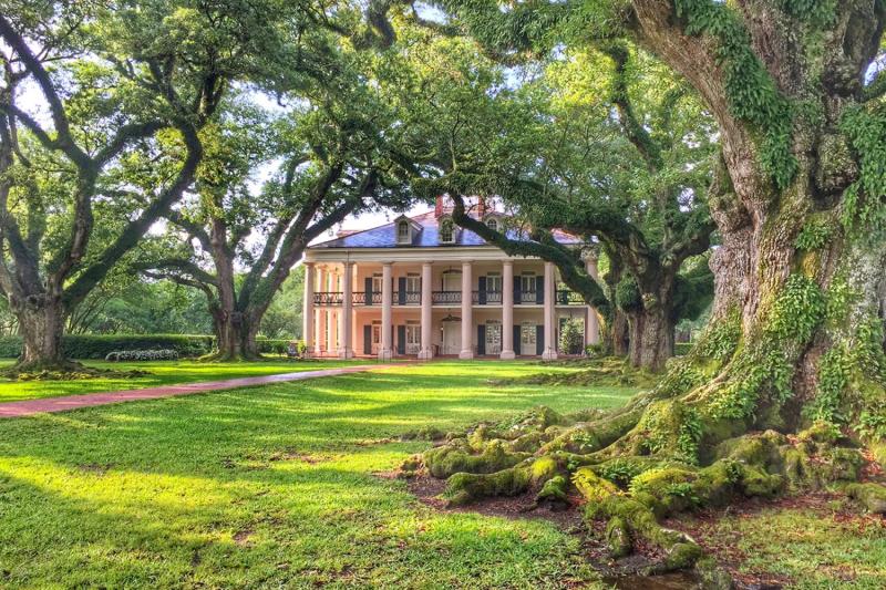 Plantation/Swamp Tour | Gray Line
