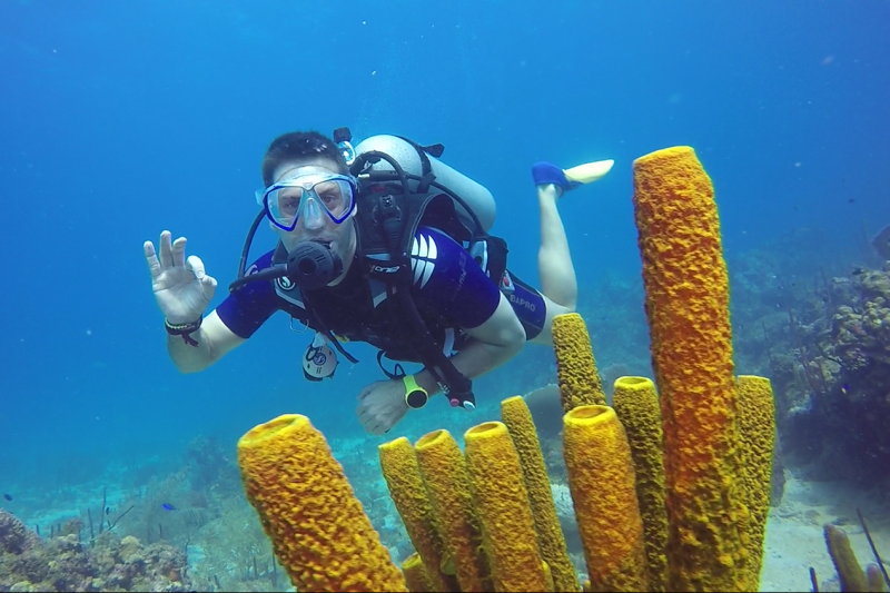 Scuba Diving Dominican Republic - ScubaCaribe