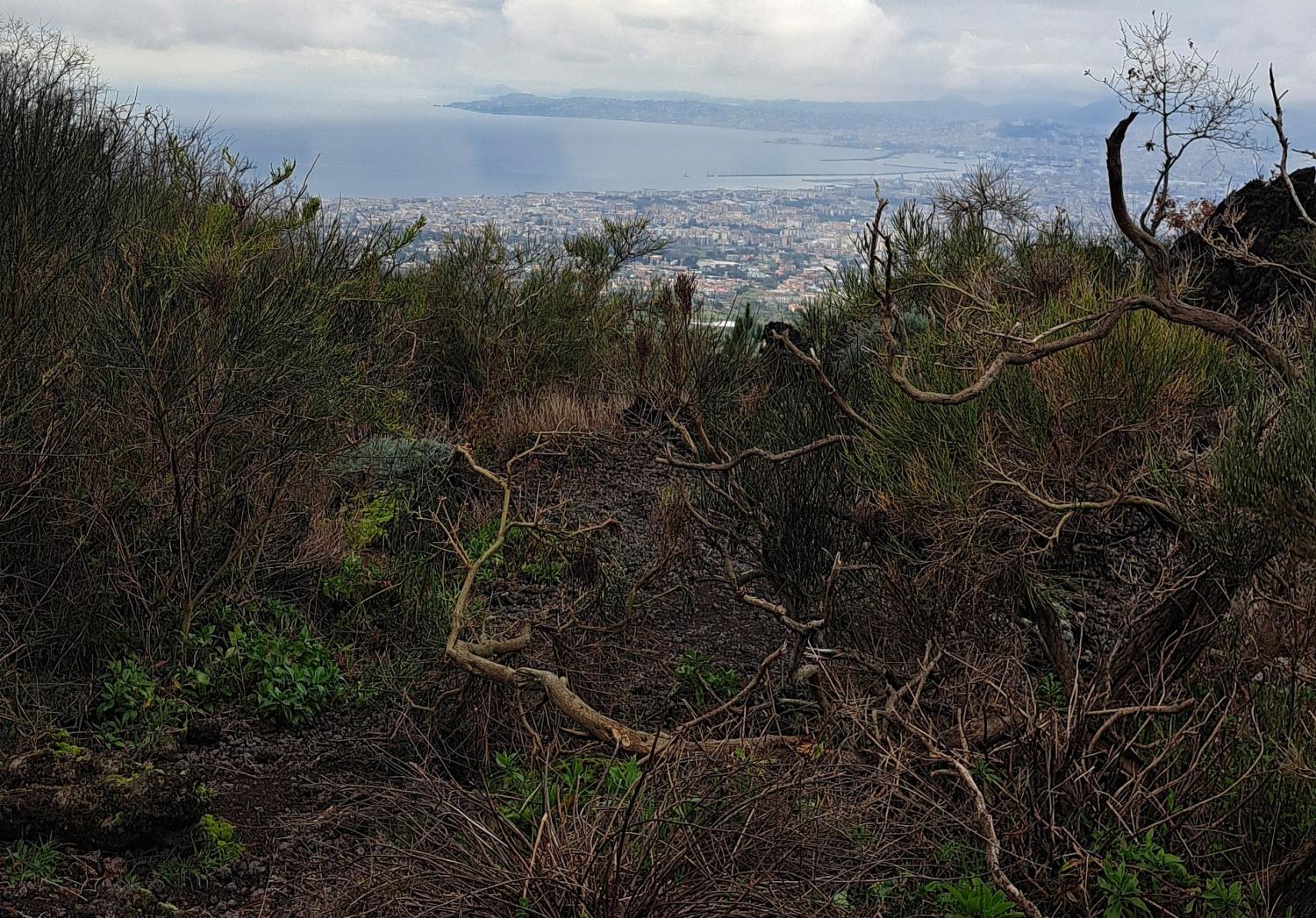 A Journey Through Ruins & Untouched Nature in the Vesuvius National Park