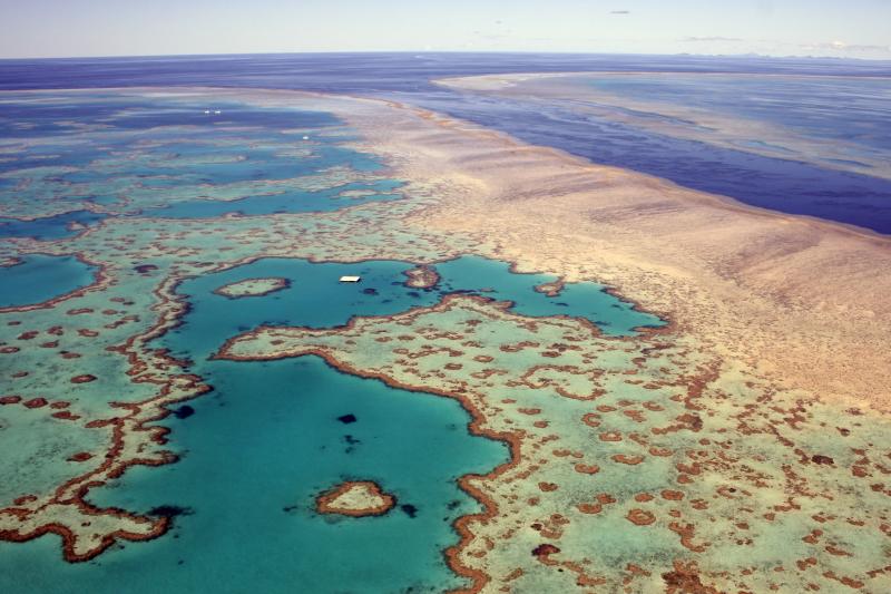 Tour | Sydney to Great Barrier Reef Tour | Discovery Escapes | 20