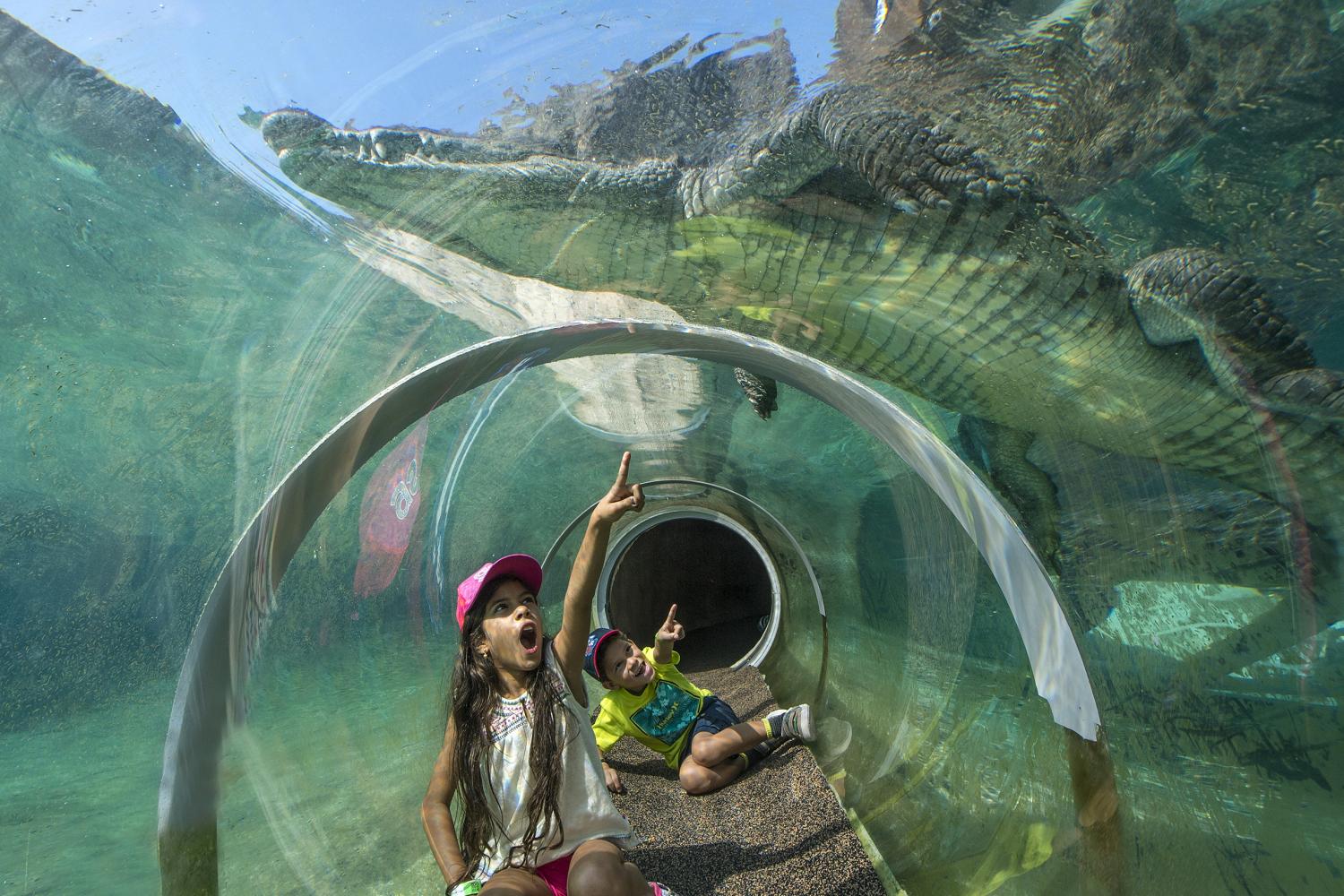 Miami Zoo with Transportation