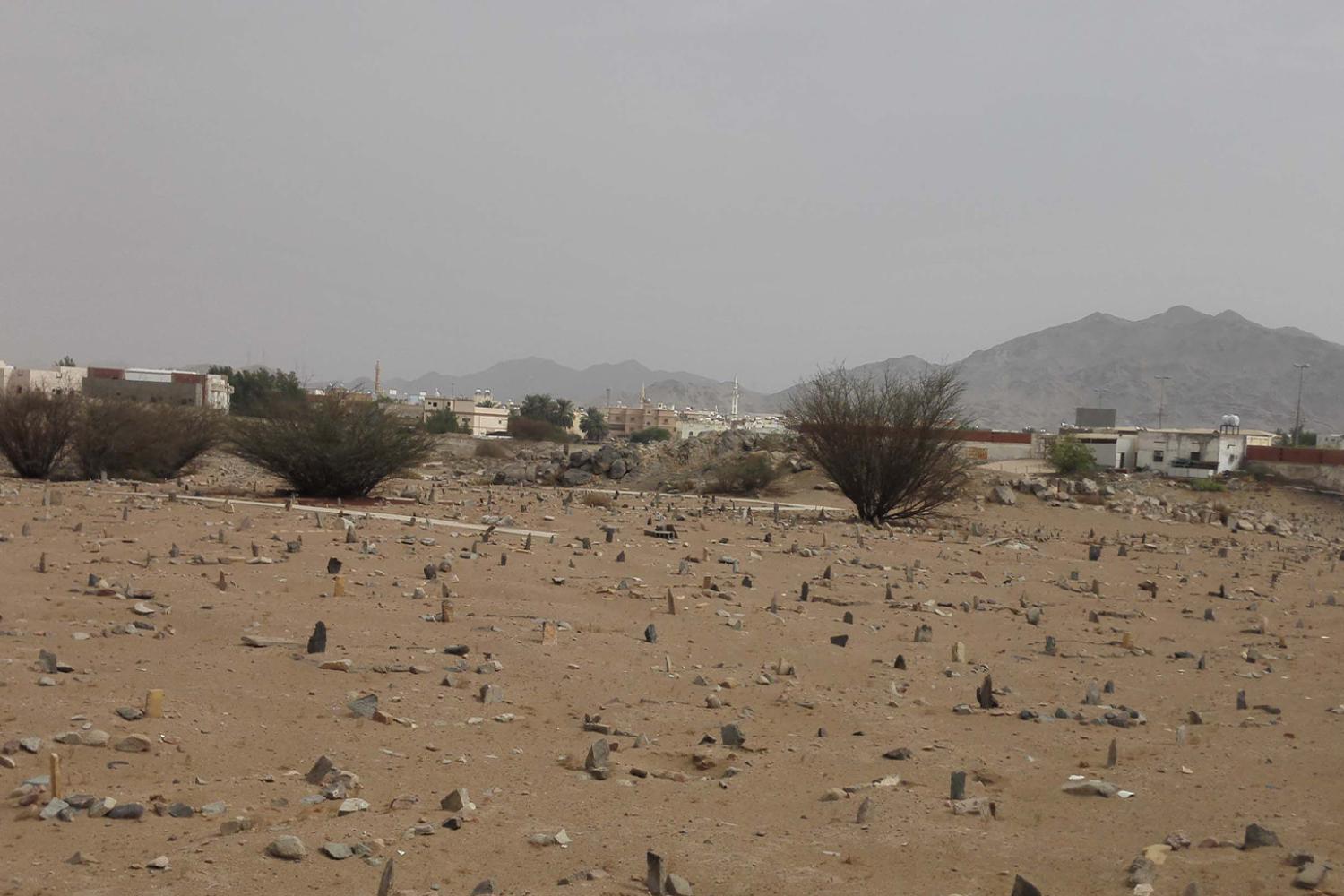 Badr Tour with lunch