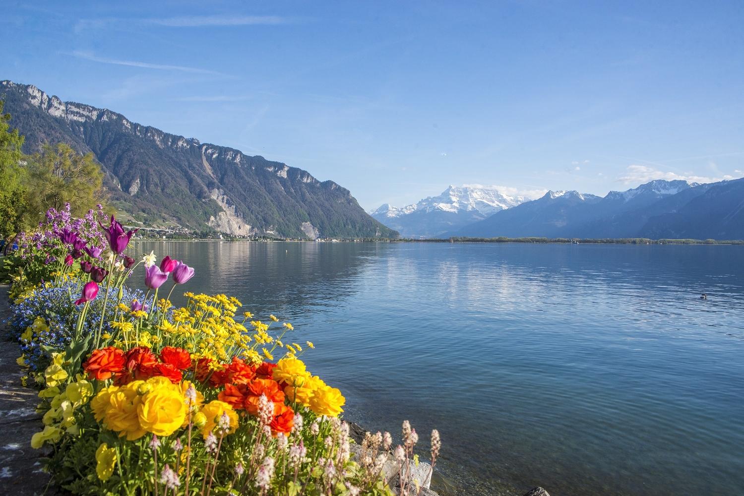 The GR5 Trail : Lake Geneva to Chamonix | Macs Adventure