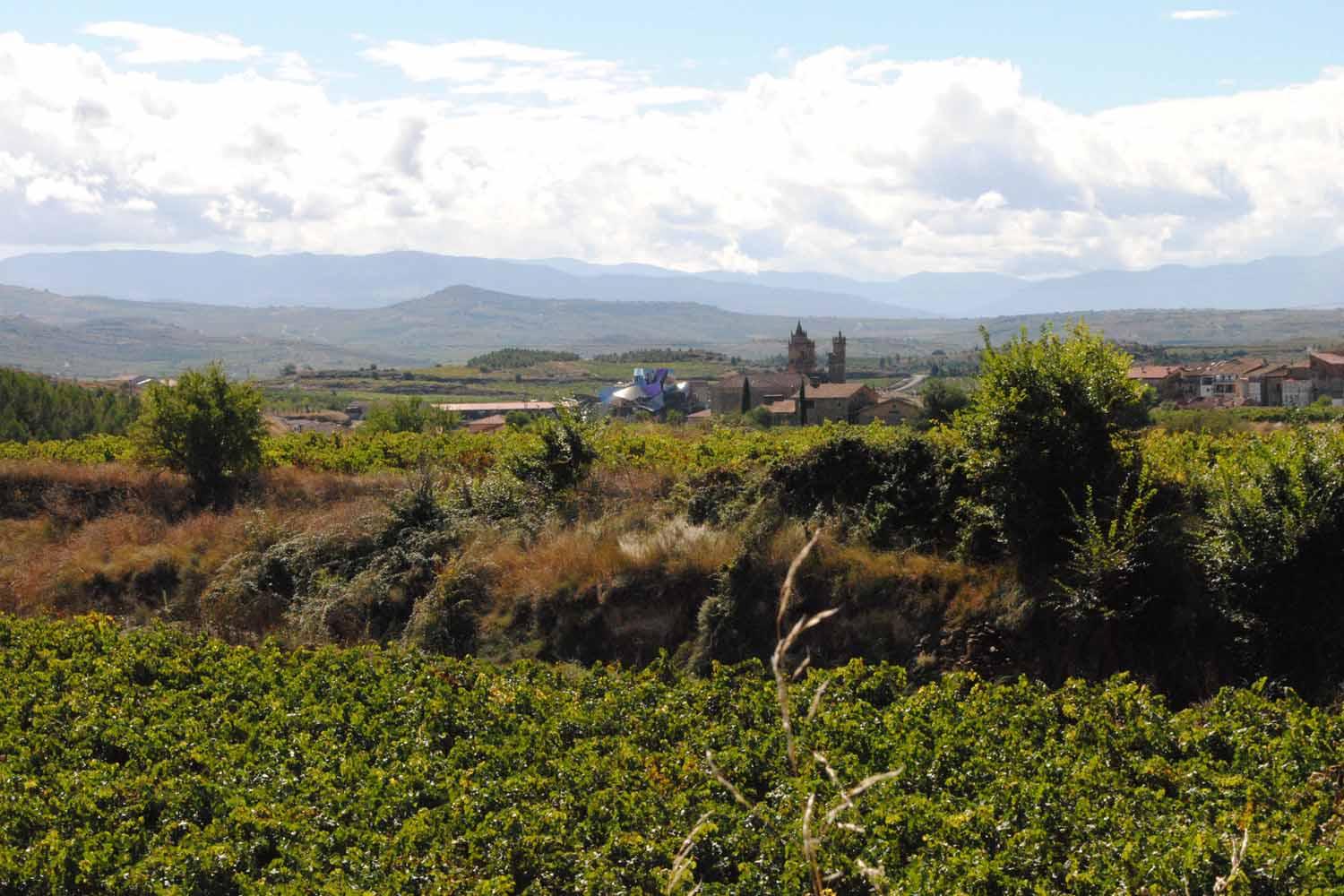 1 Day Rioja traditional private tour - Rioja
