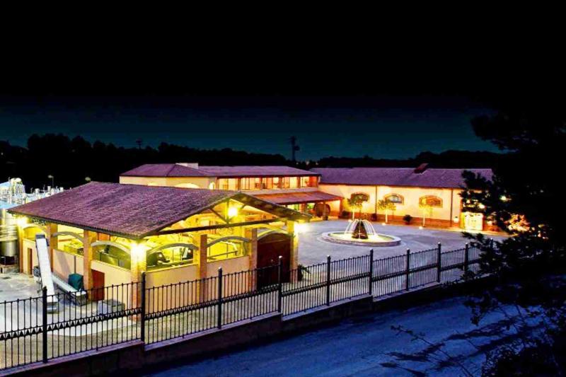 Visitas a bodegas Agusti Torello Mata - Sant Sadurní d'Anoia, Barcelona