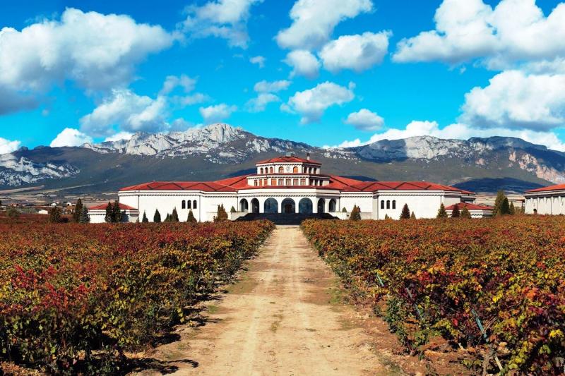 Visita a bodegas Campillo - Laguardia, Rioja Alavesa