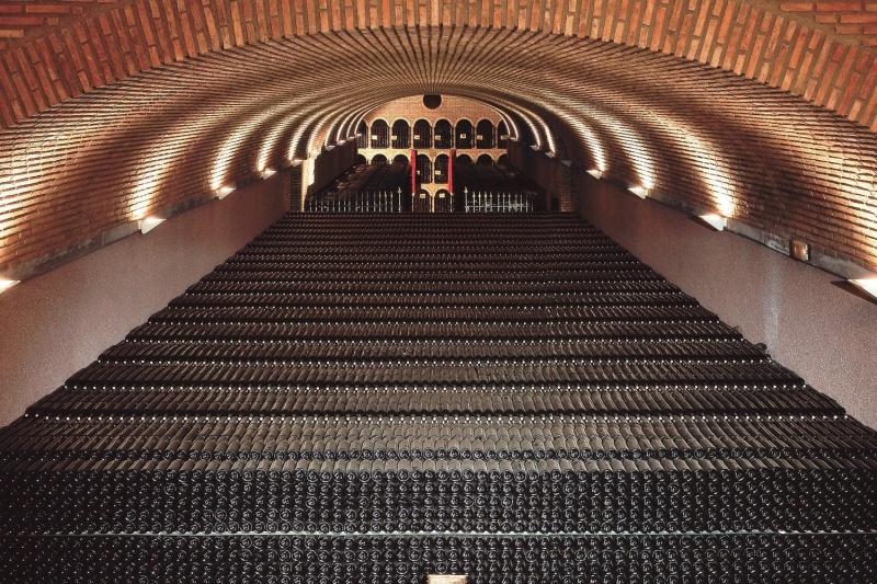 Visita a bodegas Campillo - Laguardia, Rioja Alavesa