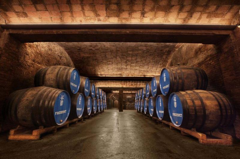 Visita a Bodegas Freixenet y comida en Penedés - Sant Sadurní d'Anoia ...