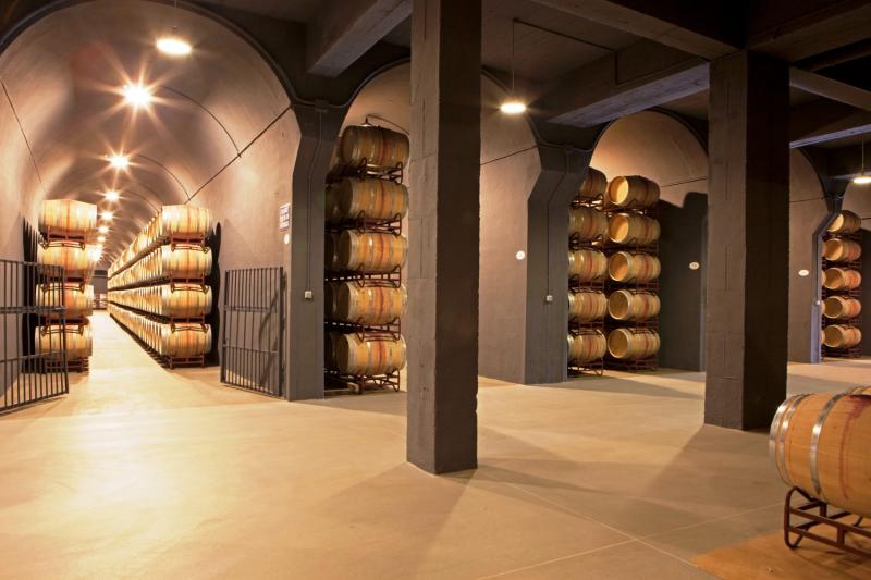 Visita a Bodegas Palacio - Laguardia, Rioja Alavesa