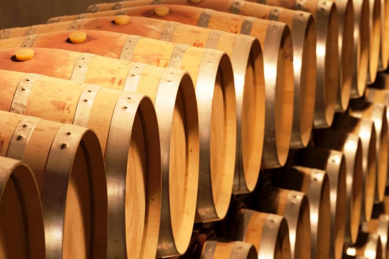 Visita a Bodegas Palacio - Laguardia, Rioja Alavesa