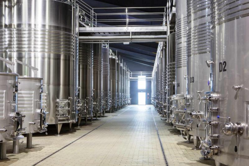 Visita a Bodegas Palacio - Laguardia, Rioja Alavesa