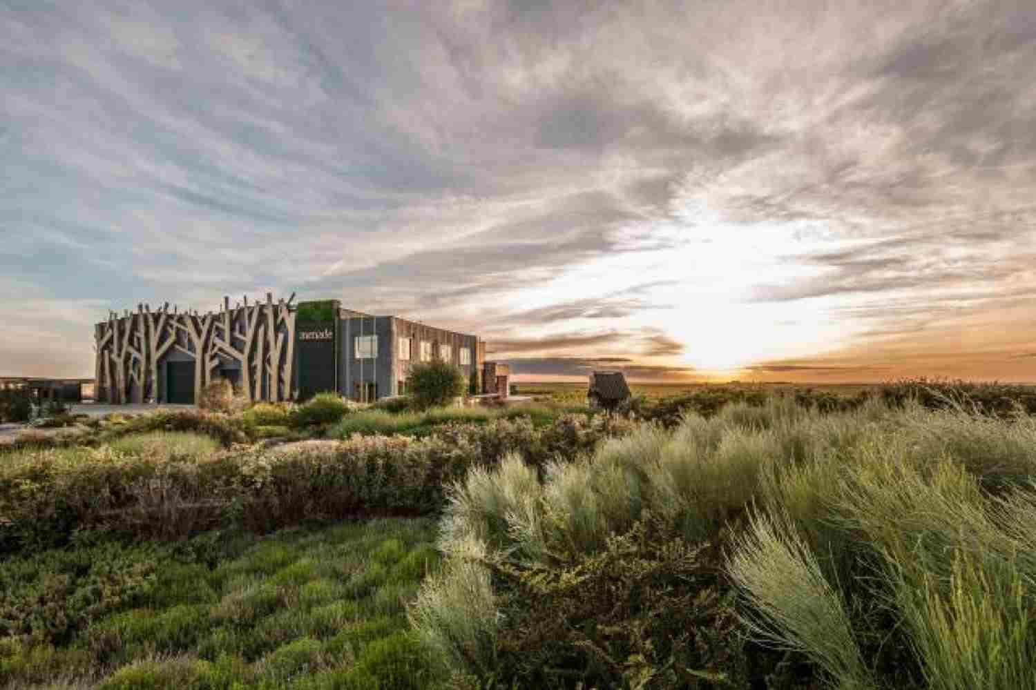 Visita a las bodegas Menade en Rueda - Rueda, Valladolid